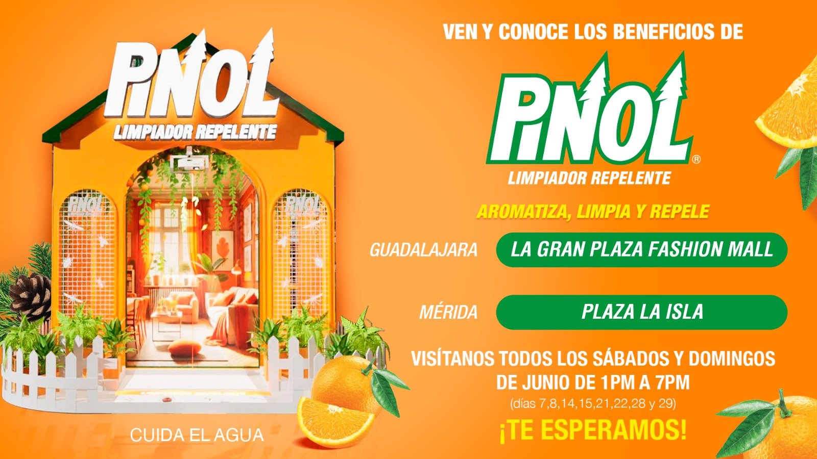 Conoce los beneficios de Pinol® Repelente de Insectos en Mérida - MNI ...