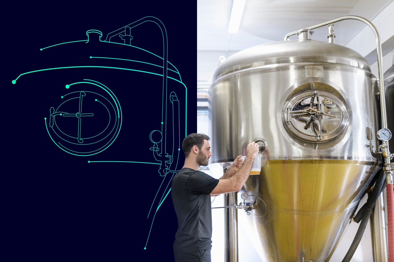 Así se convirtió Nava en uno de los sitios cerveceros más grandes del ...
